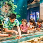 Singapore: Singapore Oceanarium Entrance E-Ticket - Who Should Consider Visiting?