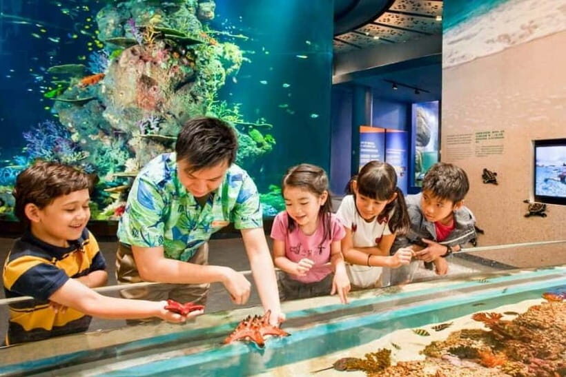 Singapore: Singapore Oceanarium Entrance E-Ticket - Who Should Consider Visiting?