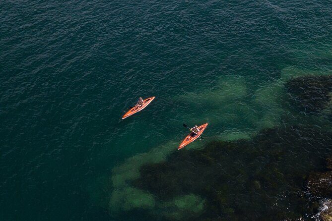 Single Kayak Hire - 4 Hours - The Charm of Exploring at Your Own Pace