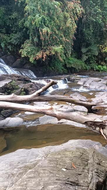 Sinharaja Rainforest: Tour with 5 Waterfalls Trek - The Value of the Tour