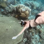 Siquijor: Jeepney Island Tour with Snorkeling - Detailed Breakdown of the Itinerary