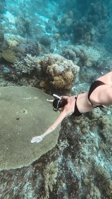 Siquijor: Jeepney Island Tour with Snorkeling - Detailed Breakdown of the Itinerary