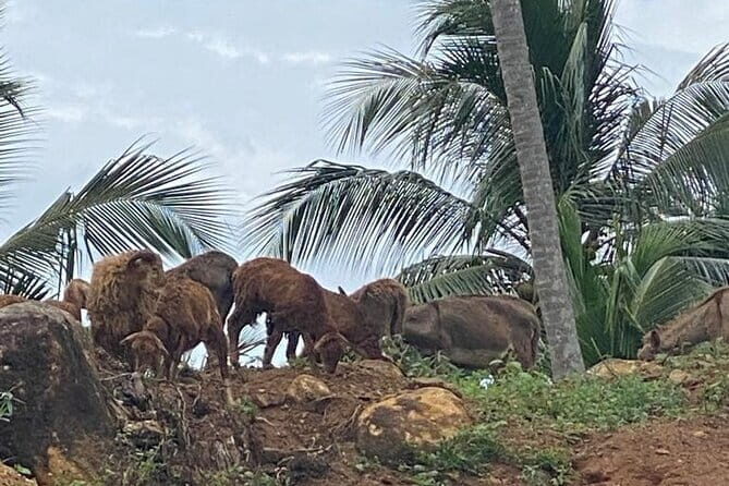 Sirin Park Eco Tour in Sri Lanka - The Itinerary in Detail