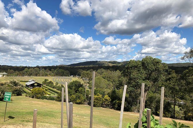 Sirromet Winery 3 Course Lunch, Tour, Tastings and Transfers - The Itinerary and What You’re Getting