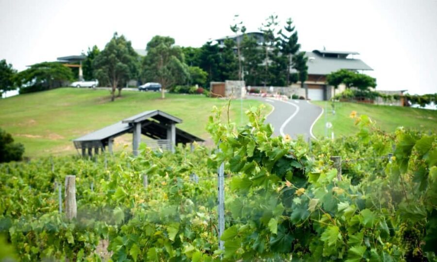 Sirromet Winery A Petit Pairing - Who Would Love This Experience?