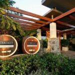Sirromet Winery + CBD & Mt Coot-tha Private Helicopter Experience - Why Consider This Tour?