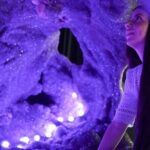 Skip the Line: Crystal Castle and Shambhala Gardens Admission Ticket - Who Will Love This Experience?