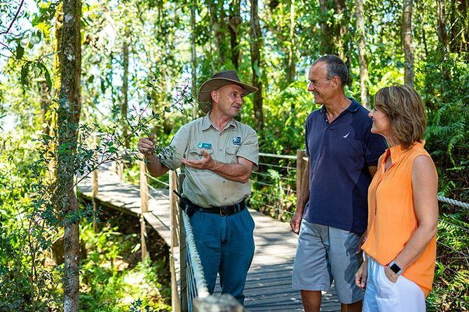 Skip the Line Kuranda Scenic Railway Gold Class and Skyrail Rainforest Cableway - Authentic Experiences and Tips From Travelers
