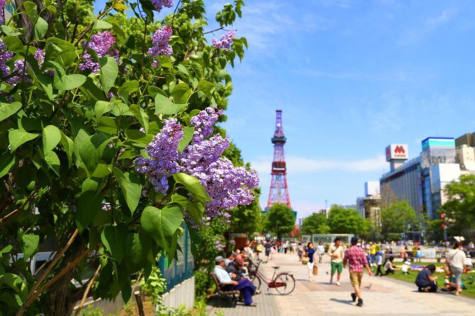 SkyExpress: Sapporo Customised Private Day Tour (Up to 15 Passengers) - The Practicalities: Transport and Pricing