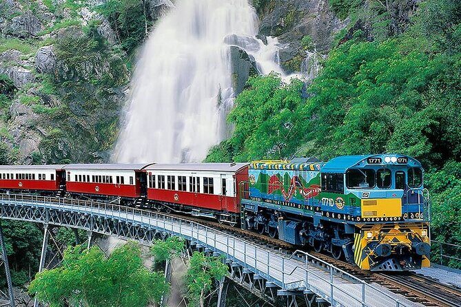 SKYRAIL CABLEWAY TRANSFER between Port Douglas & Skyrail (RETURN) - Why This Transfer Offers Good Value