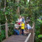 Skyrail Rainforest Cableway Round-Trip Experience - Authentic Perspectives from Travelers