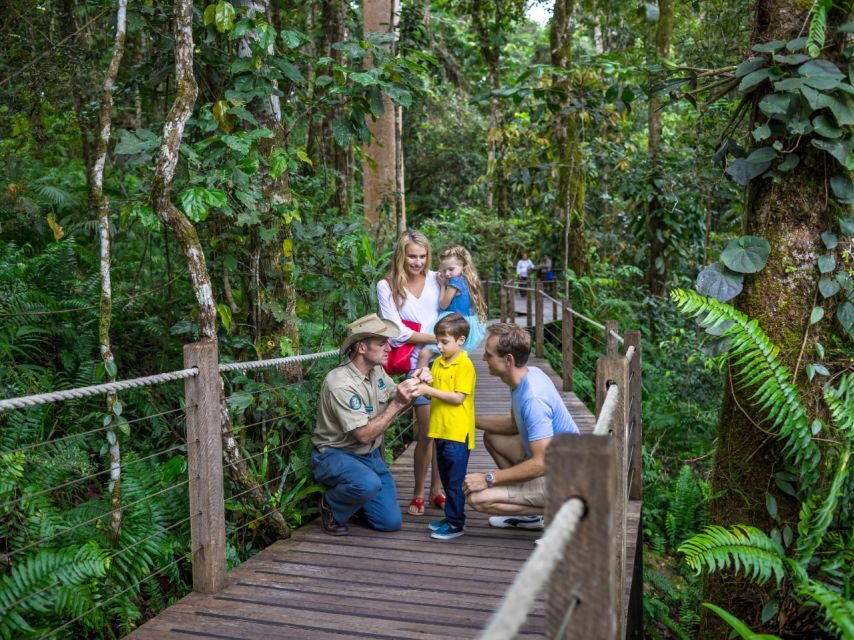 Skyrail Rainforest Cableway Round-Trip Experience - Authentic Perspectives from Travelers