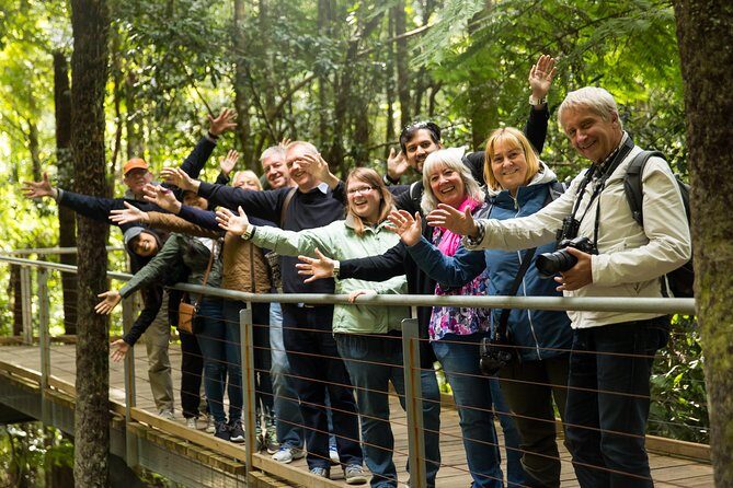Small All-Inclusive Blue Mountains, Scenic World, Lunch, Cruise - Detailed Breakdown of the Itinerary