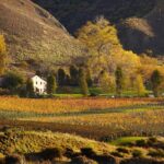 Small Batch Private Wine Experience in Gibbston, Queenstown. - The Itinerary Breakdown: What to Expect from Each Stop
