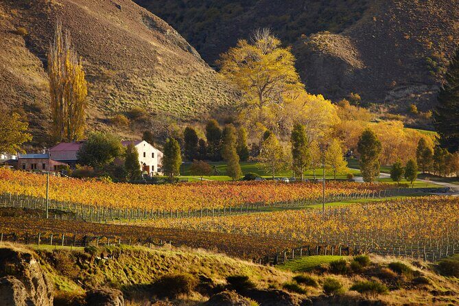 Small Batch Private Wine Experience in Gibbston, Queenstown. - The Itinerary Breakdown: What to Expect from Each Stop