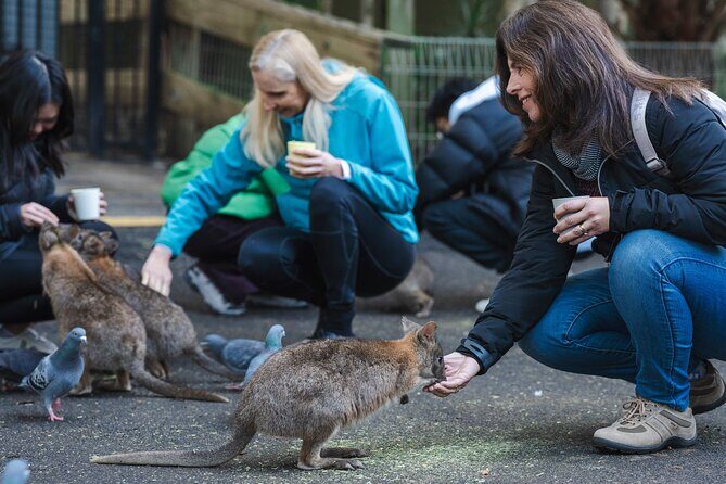Small Group Blue Mountains Wildlife & Bushwalk Tour From Sydney - Authentic Experiences and Practical Tips