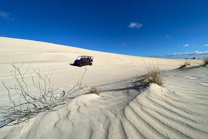 Small-Group Buggy Tour at Little Sahara with Guide - An In-Depth Look at the Itinerary