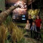 Small Group Daytime 2-Hour Eco Wildlife Tour at Zealandia - How the Tour Works: Step-by-Step