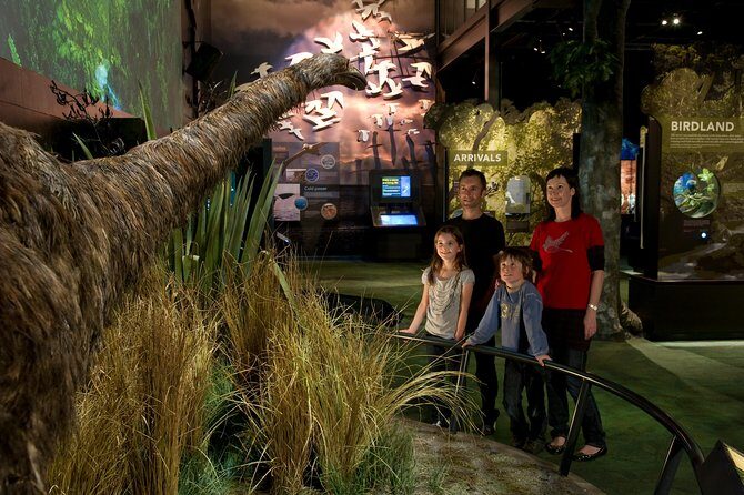 Small Group Daytime 2-Hour Eco Wildlife Tour at Zealandia - How the Tour Works: Step-by-Step