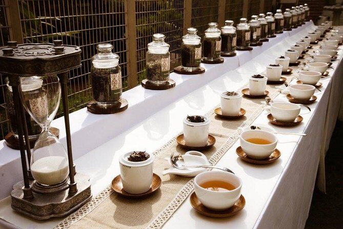 Small-group Delhi High Tea Experience - Who Is This Tour for?