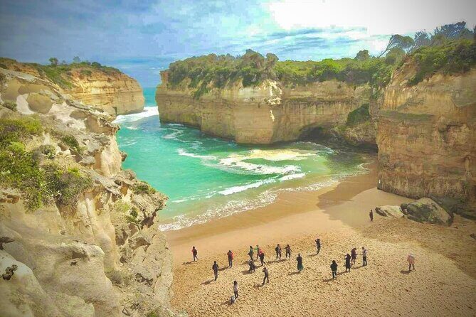 Small group Great Ocean Road Reverse & Wildlife spotting - Who Will Love This Tour?