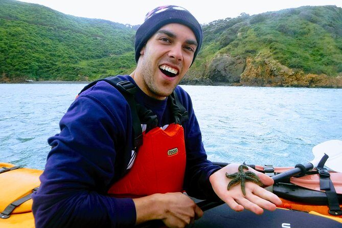 Small group guided sea kayaking in Akaroa marine reserve - FAQ