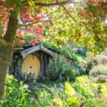 Small-Group Hobbiton and Waitomo Day Tour with Lunch from Auckland - The Cost and Value