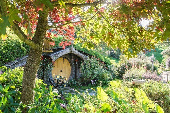 Small-Group Hobbiton and Waitomo Day Tour with Lunch from Auckland - The Cost and Value