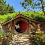 Small Group Hobbiton Movie Set from Tauranga - Final Thoughts: Who Should Consider This Tour?