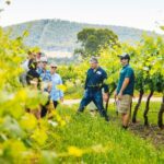 Small-Group Hunter Valley Wine Tasting Tour from Sydney - Spirits and Unique Tasting Experiences