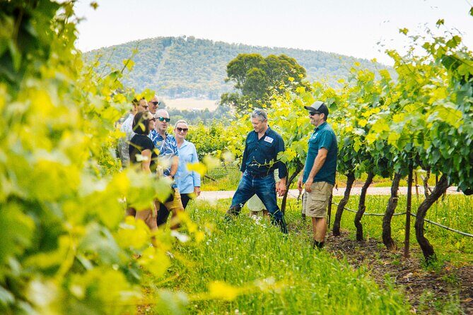 Small-Group Hunter Valley Wine Tasting Tour from Sydney - Spirits and Unique Tasting Experiences