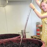 Small Group Hunter Valley Wine Tour + Lunch, Gin & Choc ex Sydney - The Benefits of This Tour