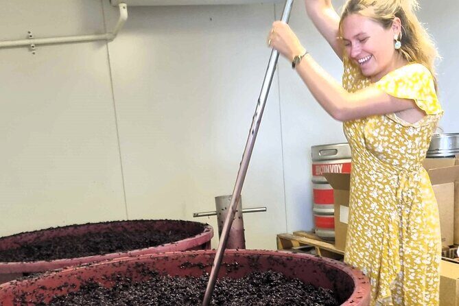 Small Group Hunter Valley Wine Tour + Lunch, Gin & Choc ex Sydney - The Benefits of This Tour
