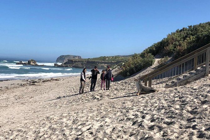 Small Group Kangaroo Island Tour - Seal Bay - Final Thoughts