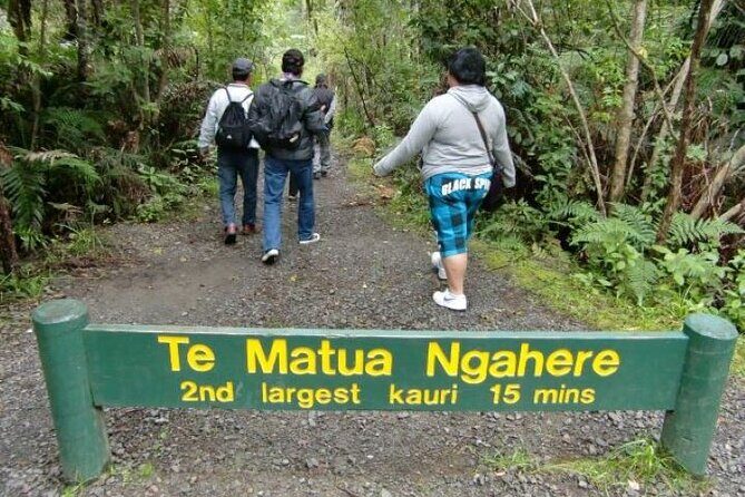 Small-Group Mystical Waipoua Forest Kauri Tour from Auckland - Te Matua Ngahere: The Father of the Forest