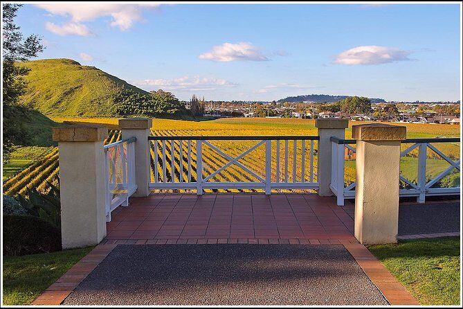 Small group - Napier, Wine, Beer & Cider Tour - 5.0 - 5.5 hours - The Transport and Group Size: Why It Matters