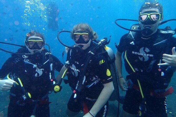 Small Group Private 3 Dives in Tulamben Best Spot - Authenticity and Reviews