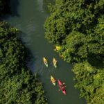 Small Group River Kayaking Tour from Port Vila - What Makes This Tour Special?
