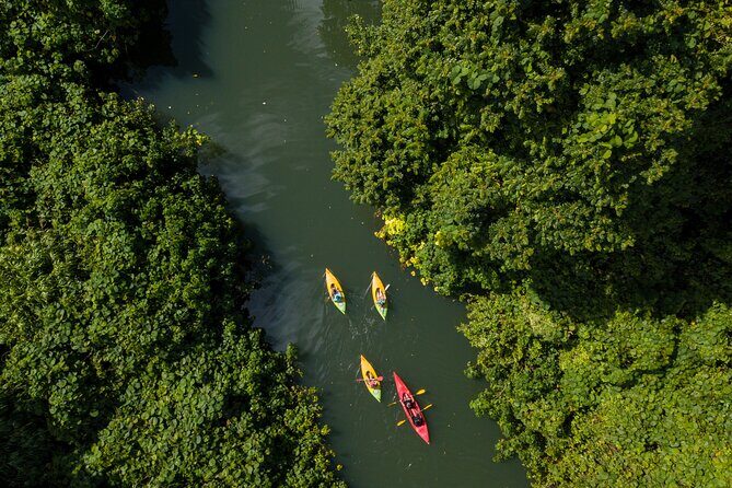 Small Group River Kayaking Tour from Port Vila - What Makes This Tour Special?