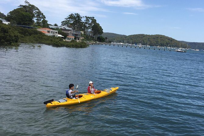 Small-Group Sydney's Northern Beaches & Ku-ring-gai Park Tour - Discovering Sydney’s Northern Beaches and Ku-ring-gai Park