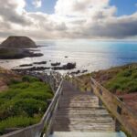 Small Group Tour of 2-7pax in Phillip Island & Churchill Island - Balancing Cost and Experience