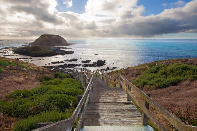 Small Group Tour of 2-7pax in Phillip Island & Churchill Island - Balancing Cost and Experience