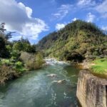 Small Group Tour To Karangahake Gorge & Waihi Gold Exploration - Who Is This Tour Best For?