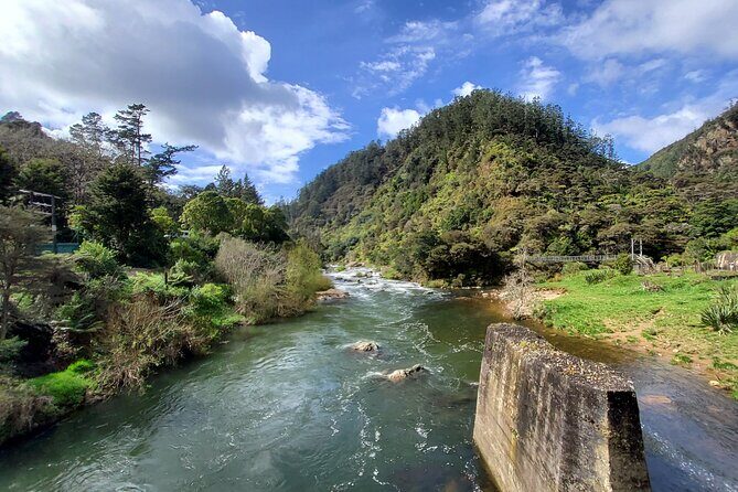 Small Group Tour To Karangahake Gorge & Waihi Gold Exploration - Who Is This Tour Best For?