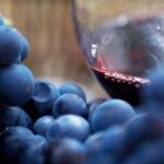 Small Group: Ultimate Mornington Peninsula Food and Wine Day - FAQ