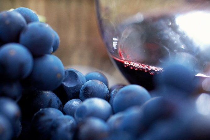 Small Group: Ultimate Mornington Peninsula Food and Wine Day - FAQ