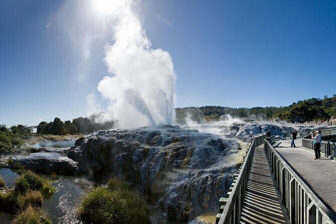 Small Group Waitomo and Rotorua including Te Puia Tour - Who Will Love This Tour?
