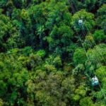 Small Group Waterfall Wetlands+ Skyrail All Inclusive from Cairns - Exploring the Details: What the Tour Offers