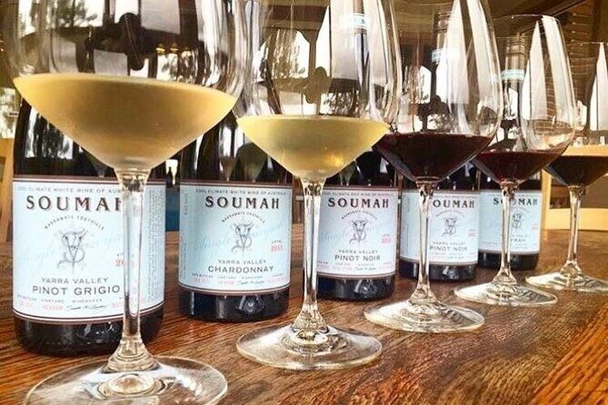 Small Group Yarra Valley: Redwoods Forest & Premium Wine Tour - The Value of This Experience