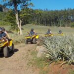 Small Quad Tour 2h30 Quad excursion in Moorea (single or two-seater) - Why This Tour Stands Out